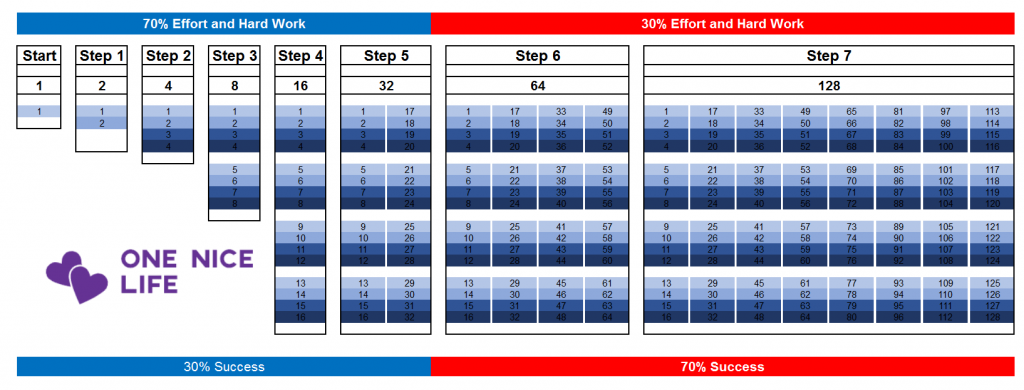 The 70 30 Rule in Success , Dr. Shahab Anari | One Nice Life